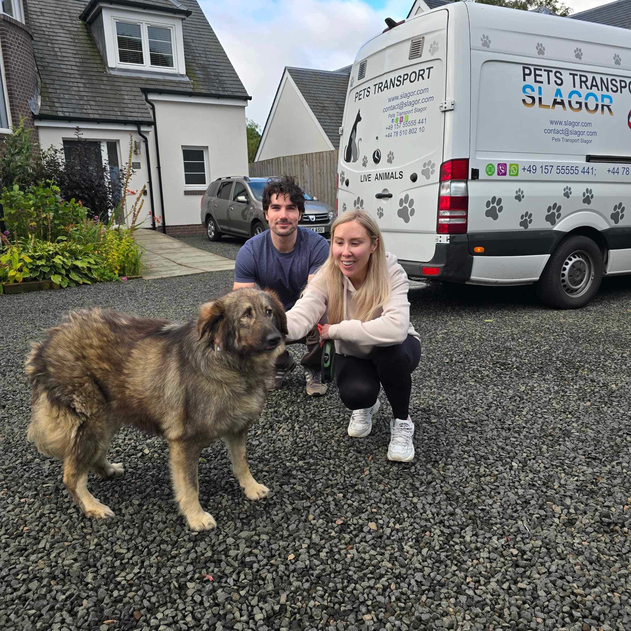 Dogs Rehomed – Happy Shelter